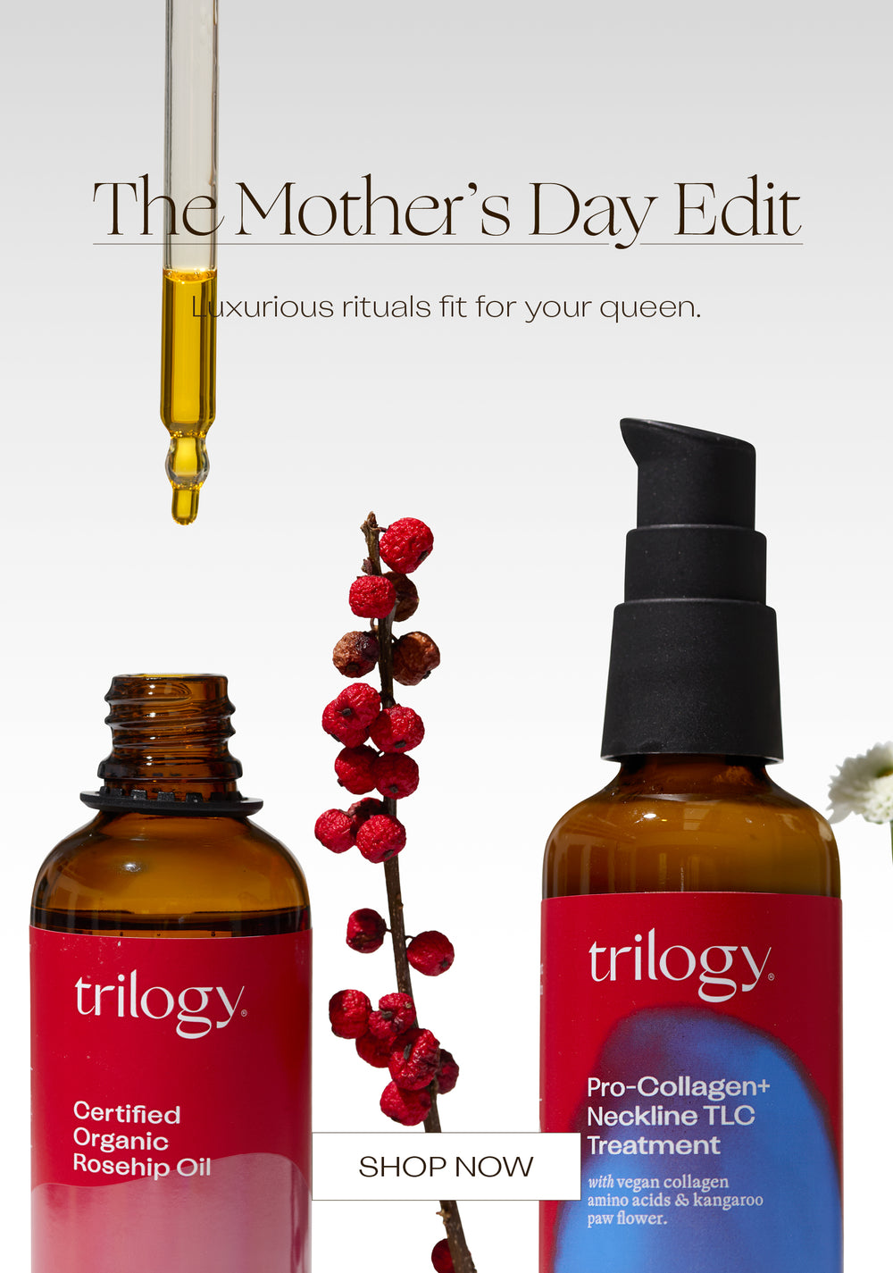 Trilogy | Clean, Natural Beauty | Free Shipping On Orders $50+